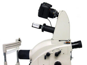 SIGNAL Handheld Retinal Camera - Topcon Healthcare - Global